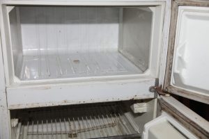 Is Rust in Refrigerators Dangerous? - AZ Rust